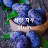 푸룬 프룬 건자두 말린 자두prune 효능 3가지 영양 성분 소르비톨 Sorbitol 등 섭취 방법